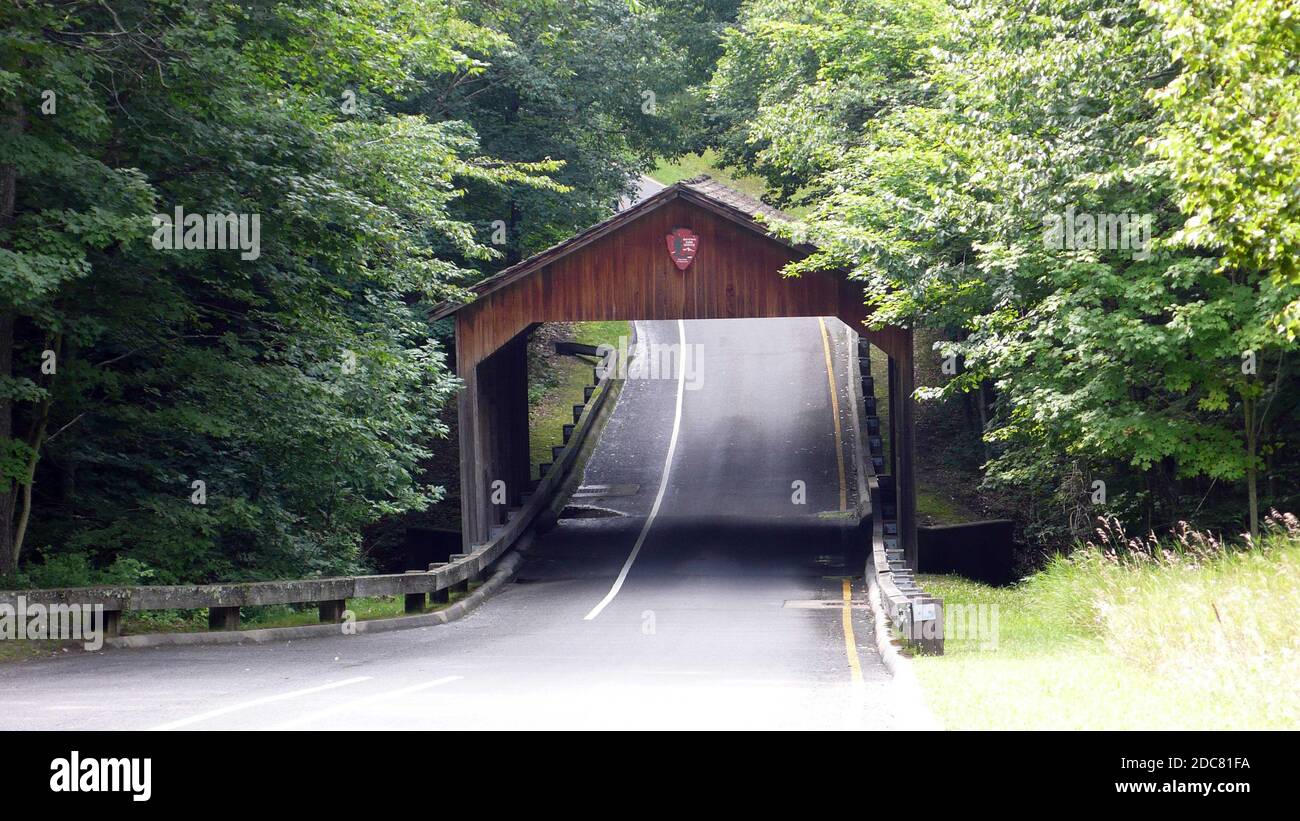 vintage wooden covered bridge through the park amidst trees and green ...