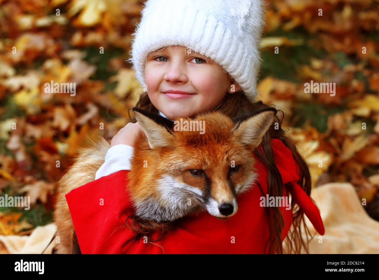 Girl holding fox in her arms in autumn park Stock Photo - Alamy