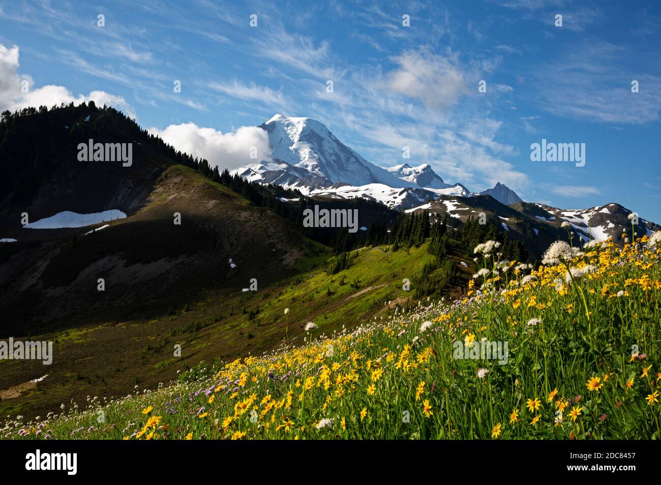 WA18242-00...WASHINGTON - Mount Baker viewed from the Skyline Divide ...