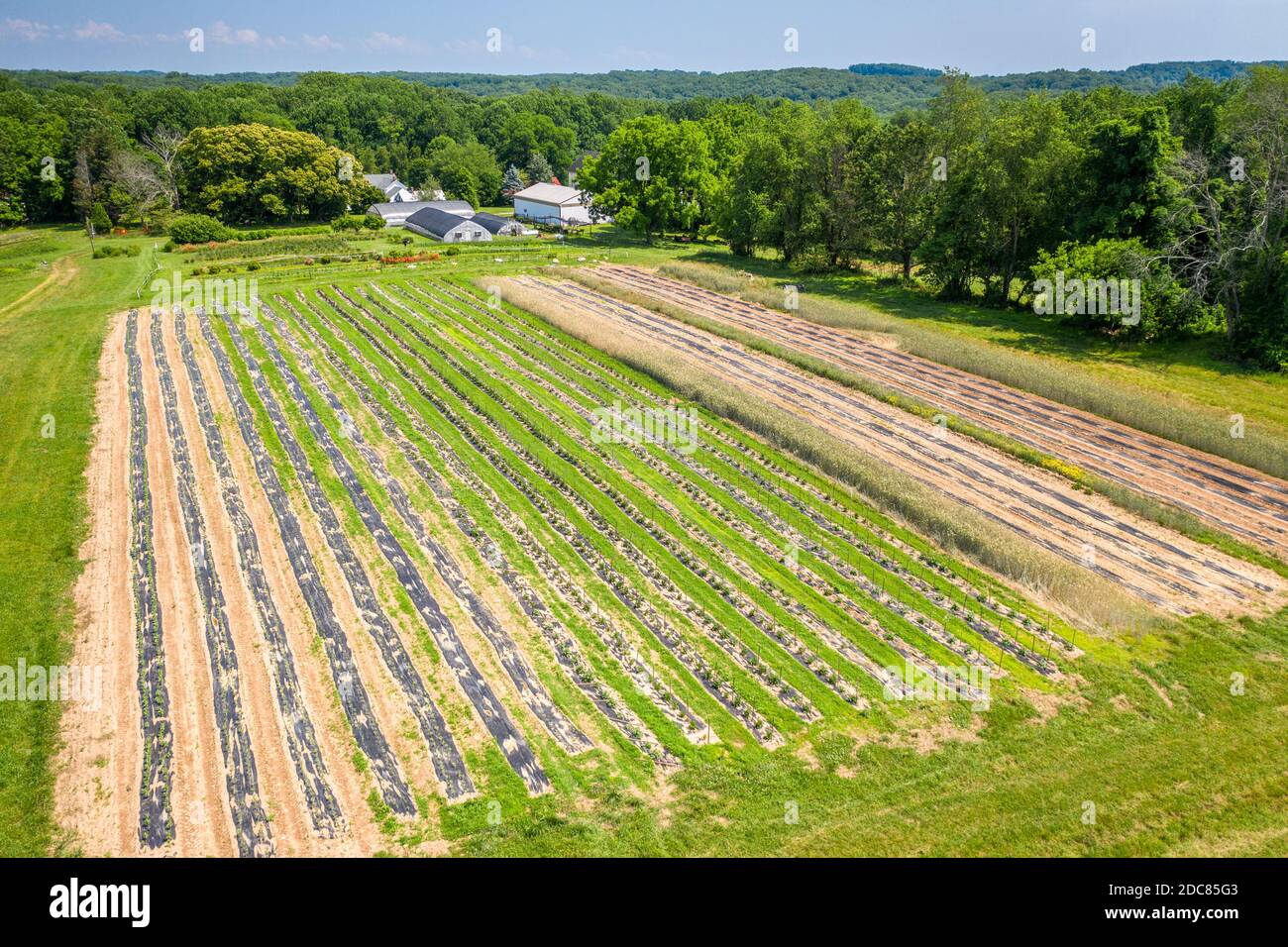 Aerial view of a flower meadow hi-res stock photography and images - Alamy