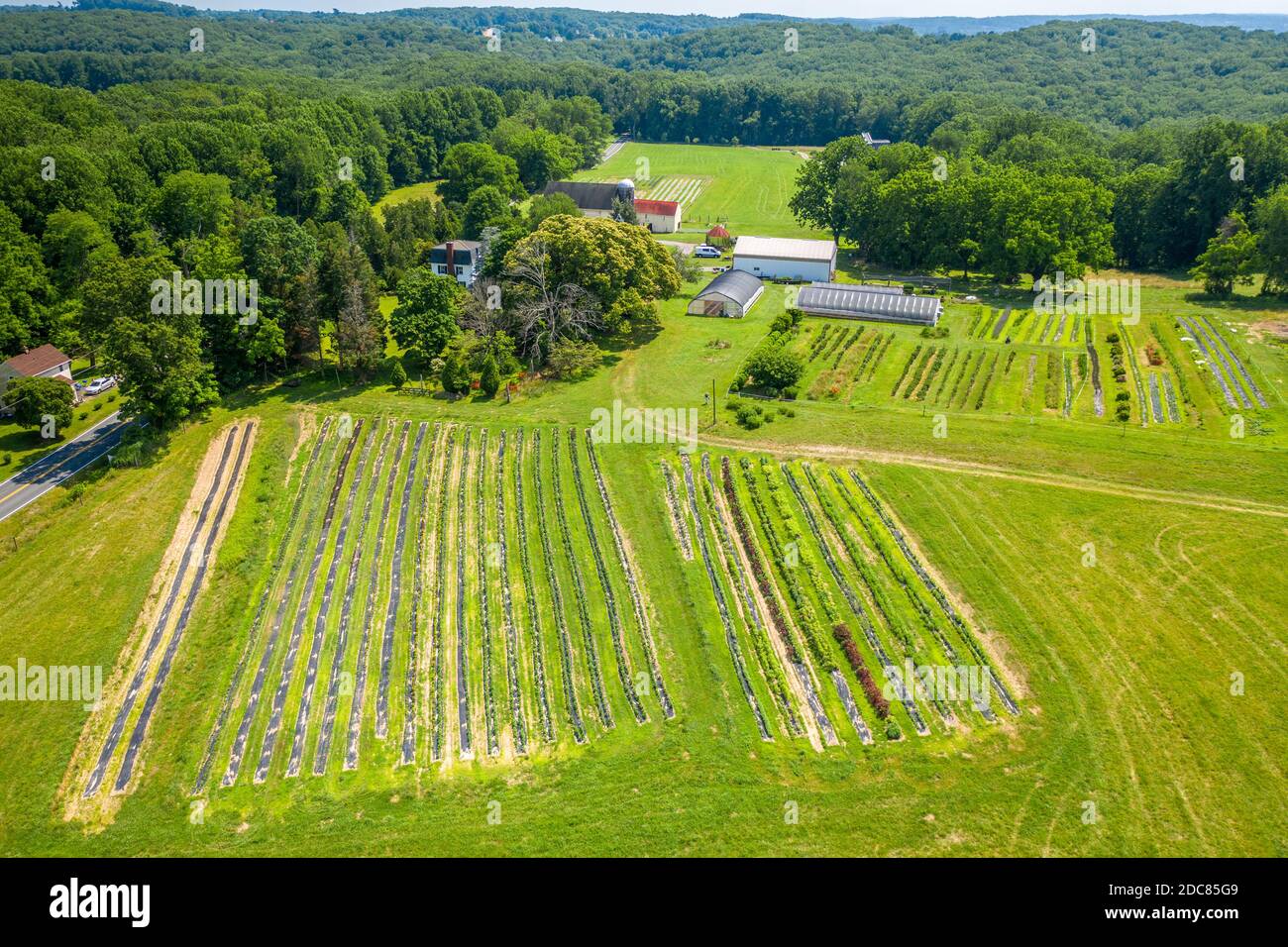 Aerial view of a flower meadow hi-res stock photography and images - Alamy