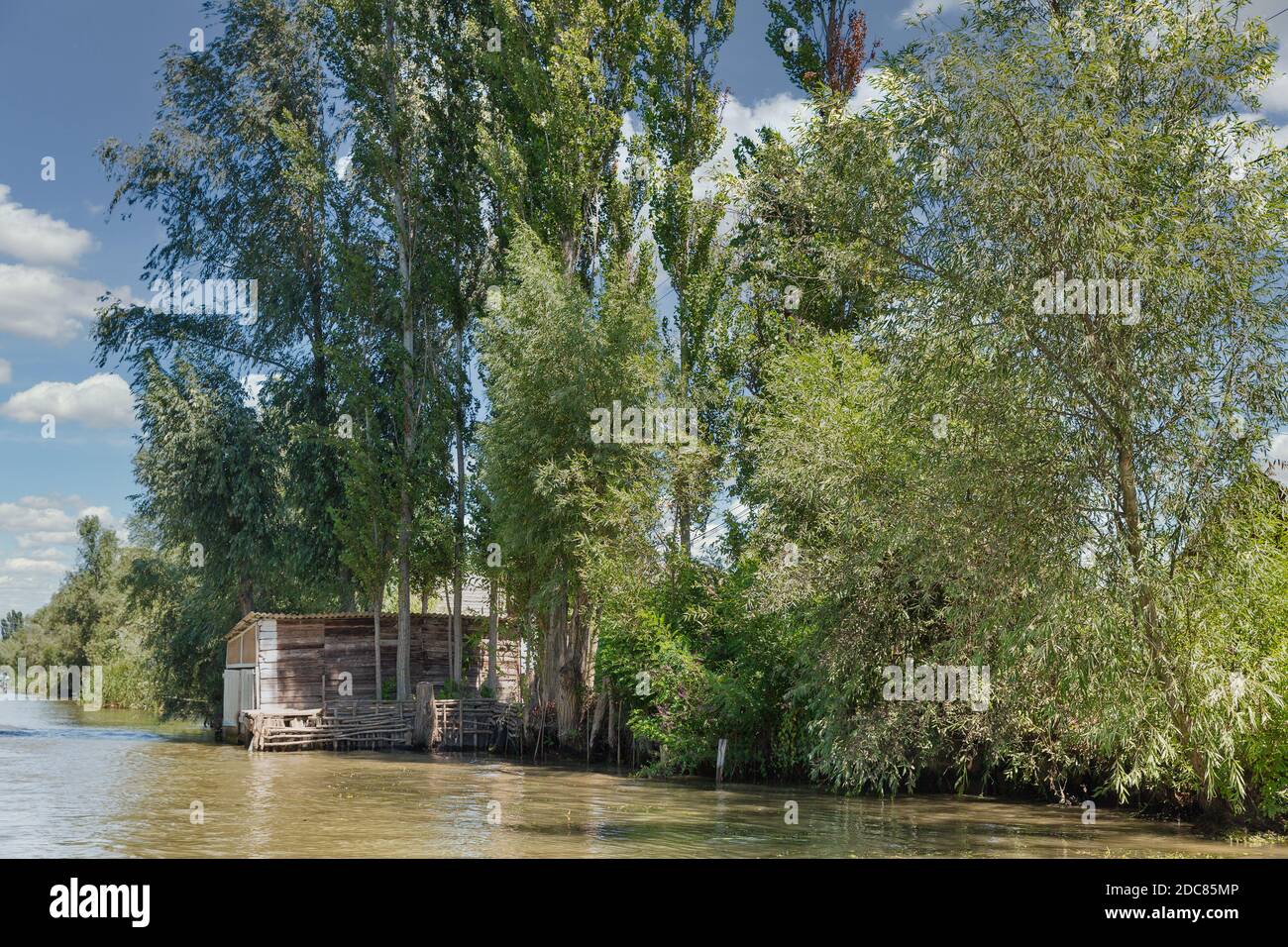 Danube Biosphere Reserve Belgorodske River Summer Landscape In Vilkove