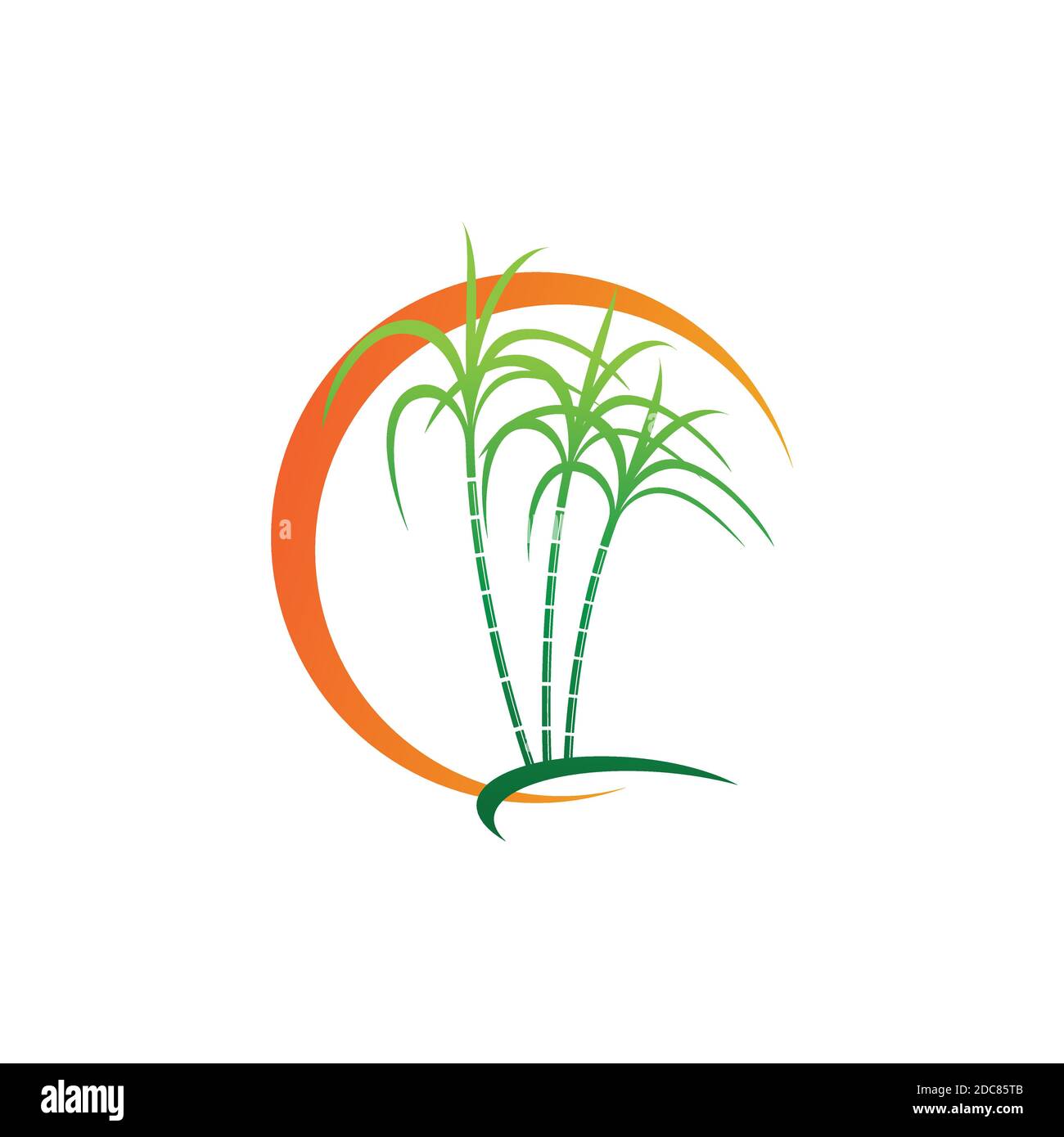 Sugarcane logo and symbol Stock Vector Image & Art - Alamy