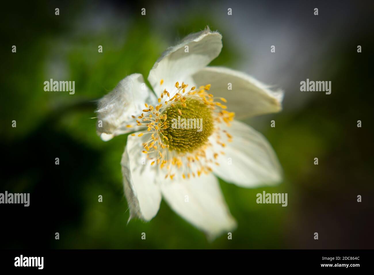 50 details hi-res stock photography and images - Alamy
