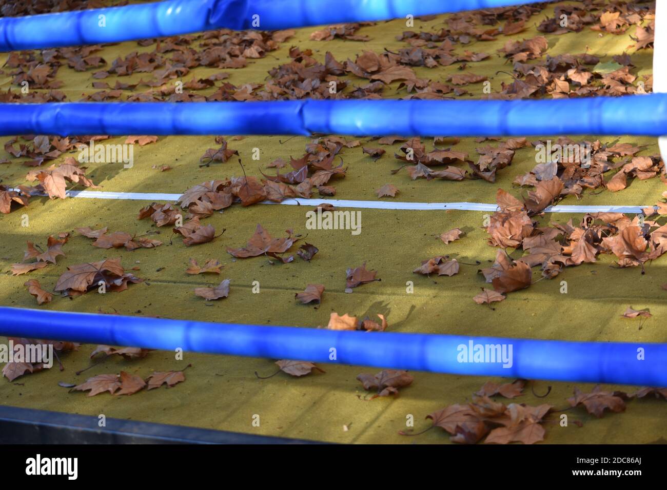 Fighting ring hi-res stock photography and images - Alamy