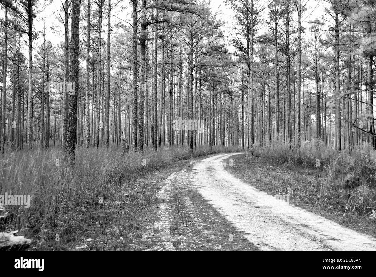 Empty dirt road hi-res stock photography and images - Alamy