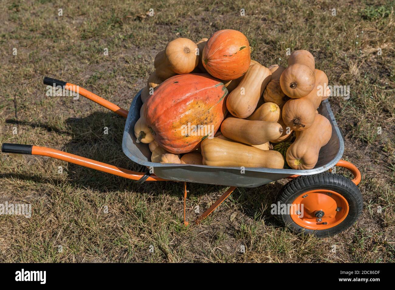 Orange food cart hi-res stock photography and images - Alamy