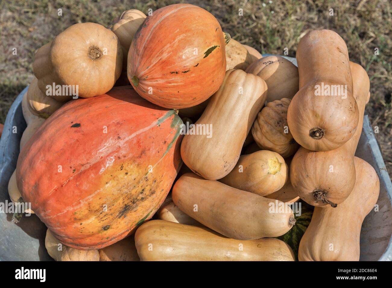 Orange food cart hi-res stock photography and images - Alamy