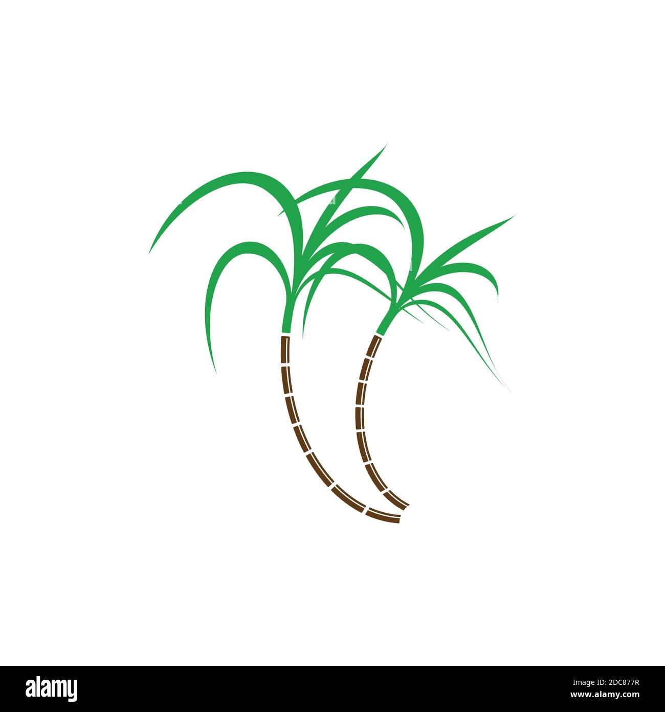 Sugarcane logo and symbol Stock Vector Image & Art - Alamy