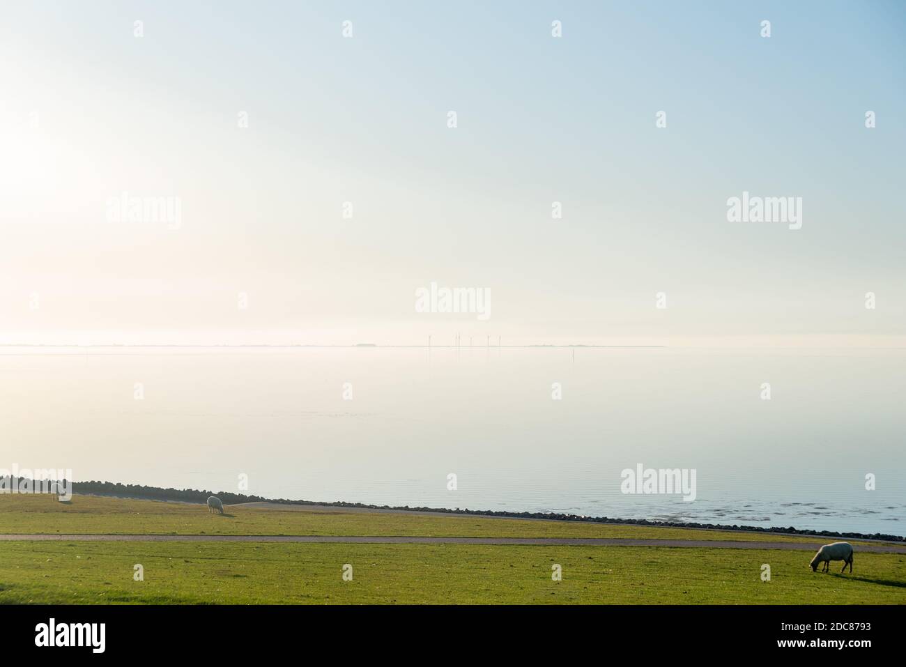 View towards the Hallig Pellworm, Elisabeth-Sophien-Koog, Peninsula ...