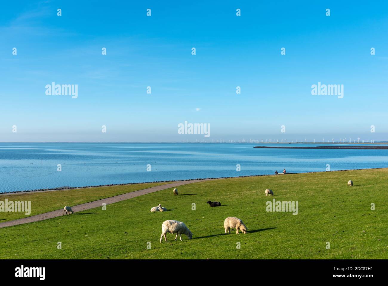 Wadden sea national park schleswig holstein hi-res stock photography ...