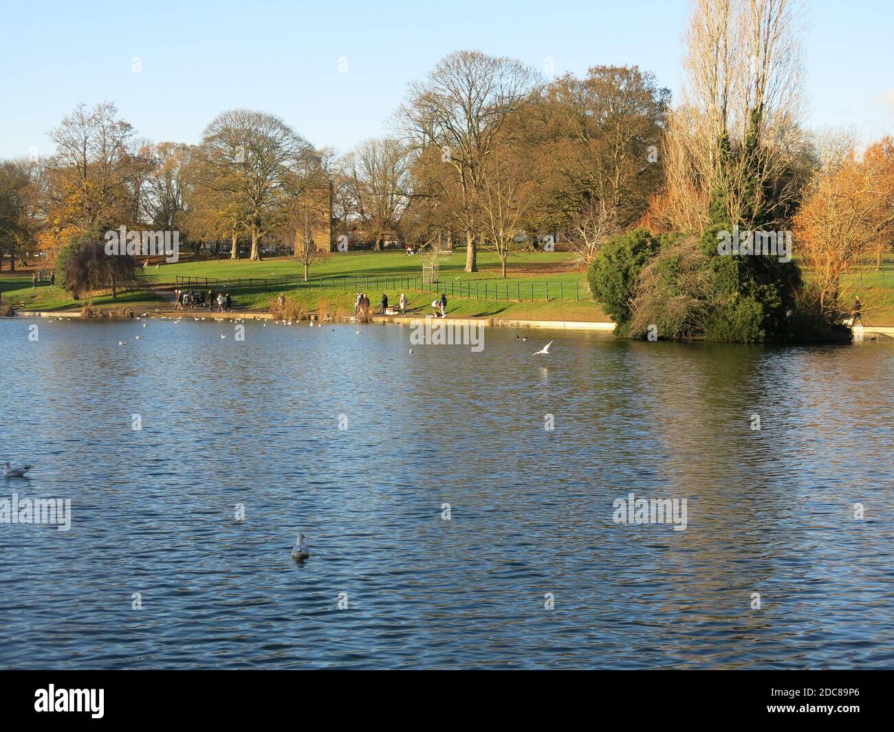 Abington park parks hi-res stock photography and images - Alamy