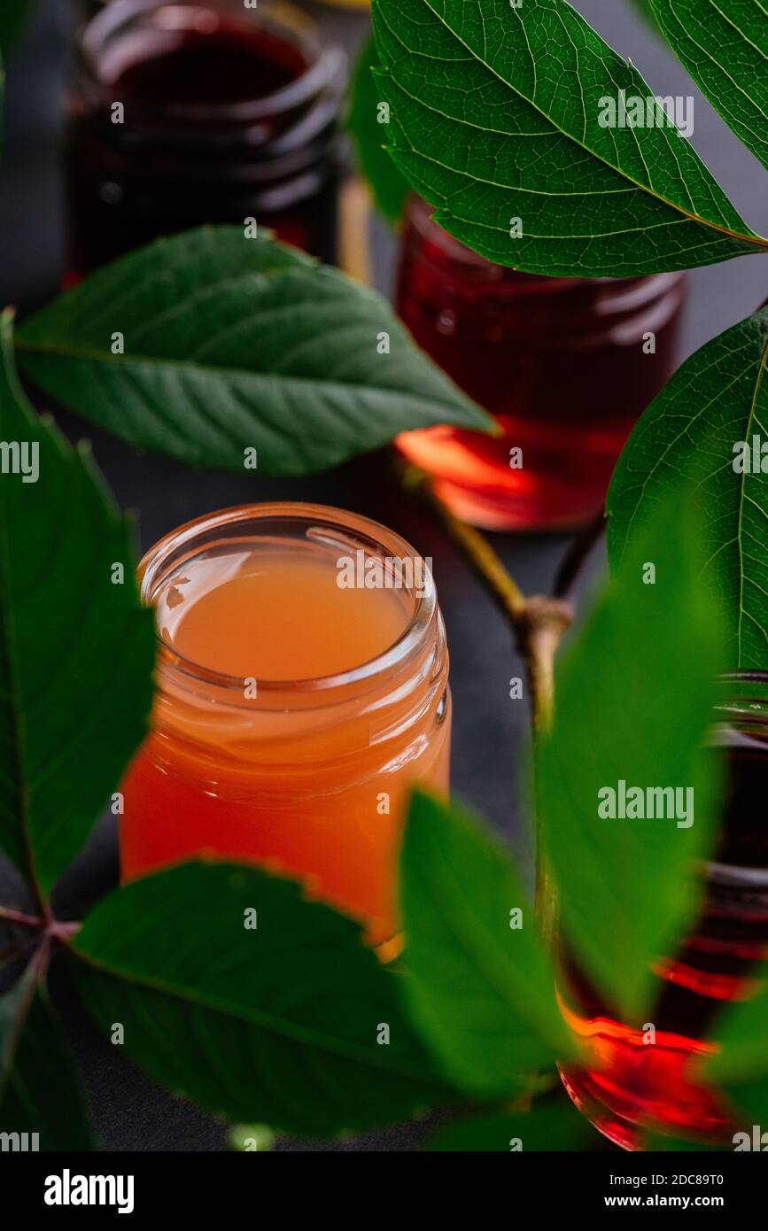 berry alcoholic tinctures in shorts Stock Photo - Alamy