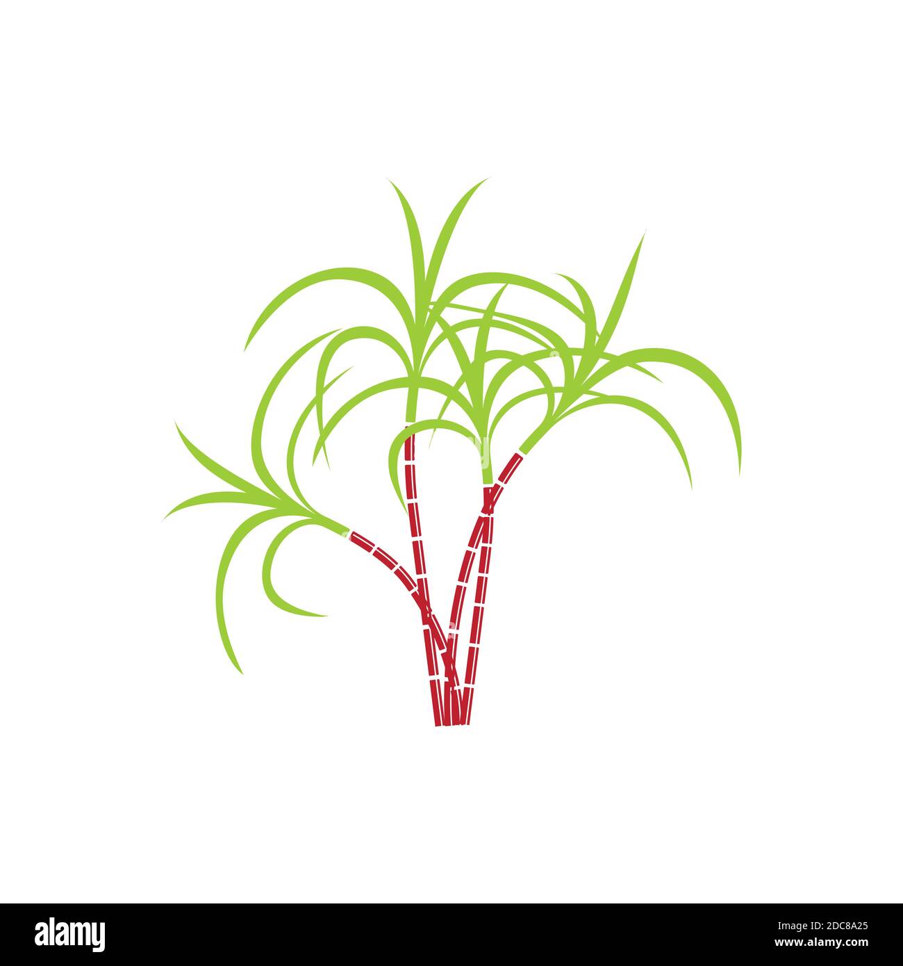 Sugarcane Logo Sugar Cane Logo Vector Images (over 1,700)