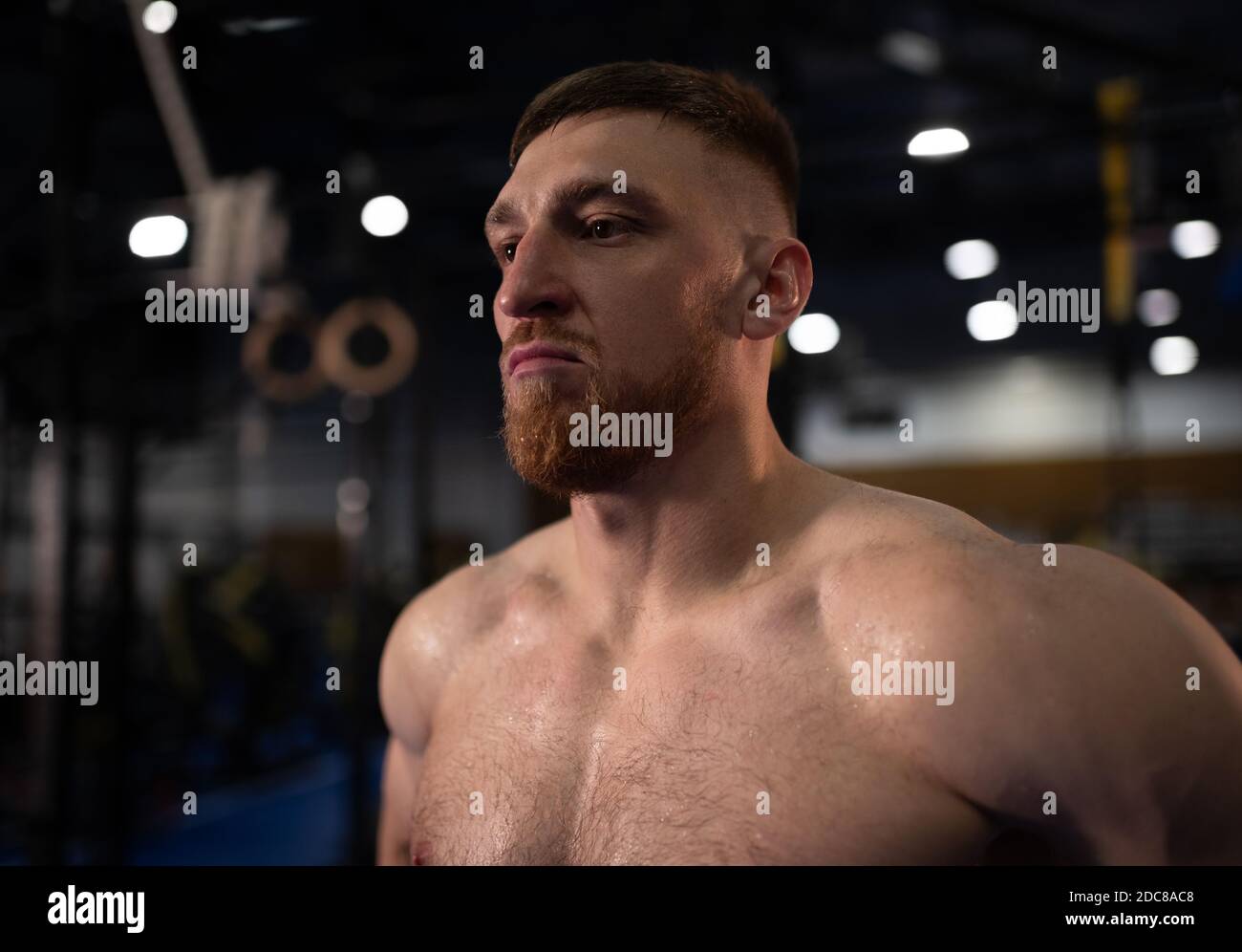 Low angle of strong weightlifter ready to exercise during intense ...