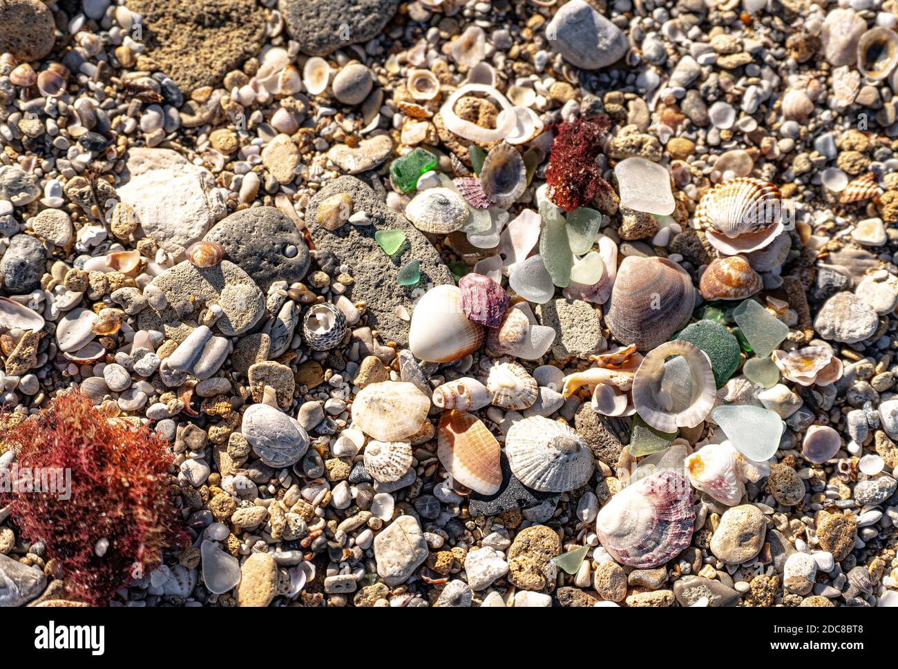 Sea glass and seashells from the unspoilt beach of Son Serra de Marina ...