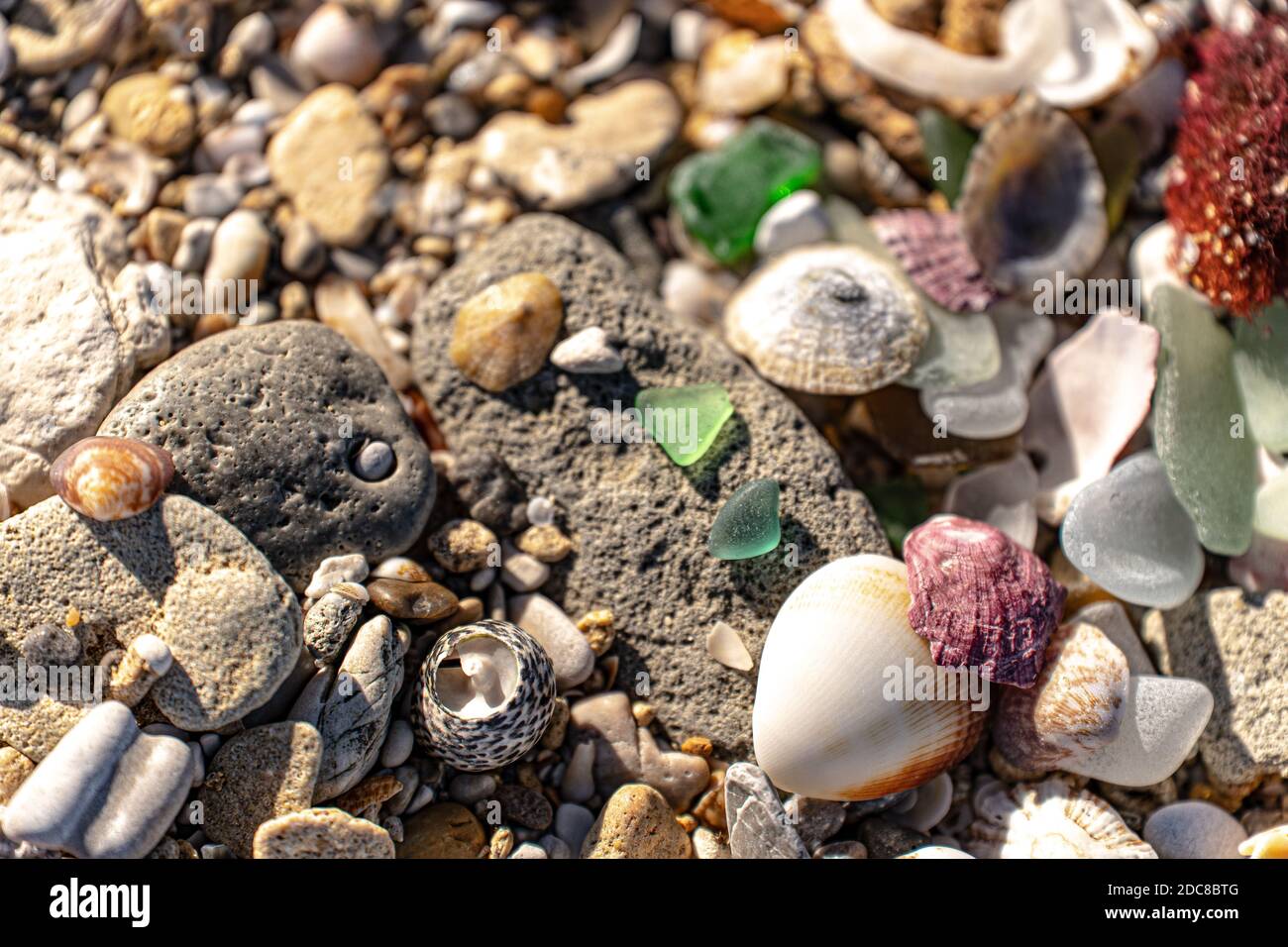 Sea glass and seashells from the unspoilt beach of Son Serra de Marina ...