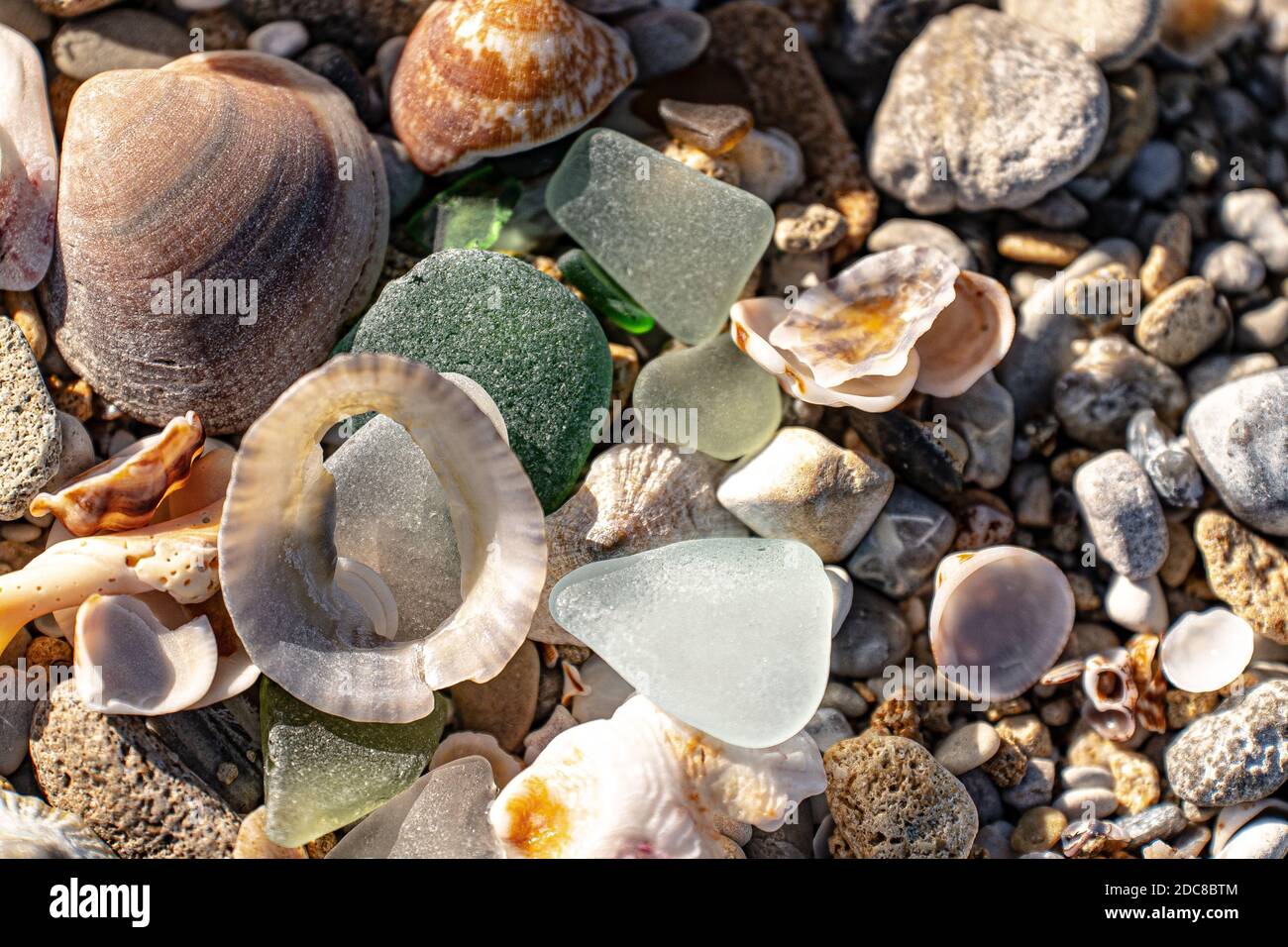 Sea glass and seashells from the unspoilt beach of Son Serra de Marina ...