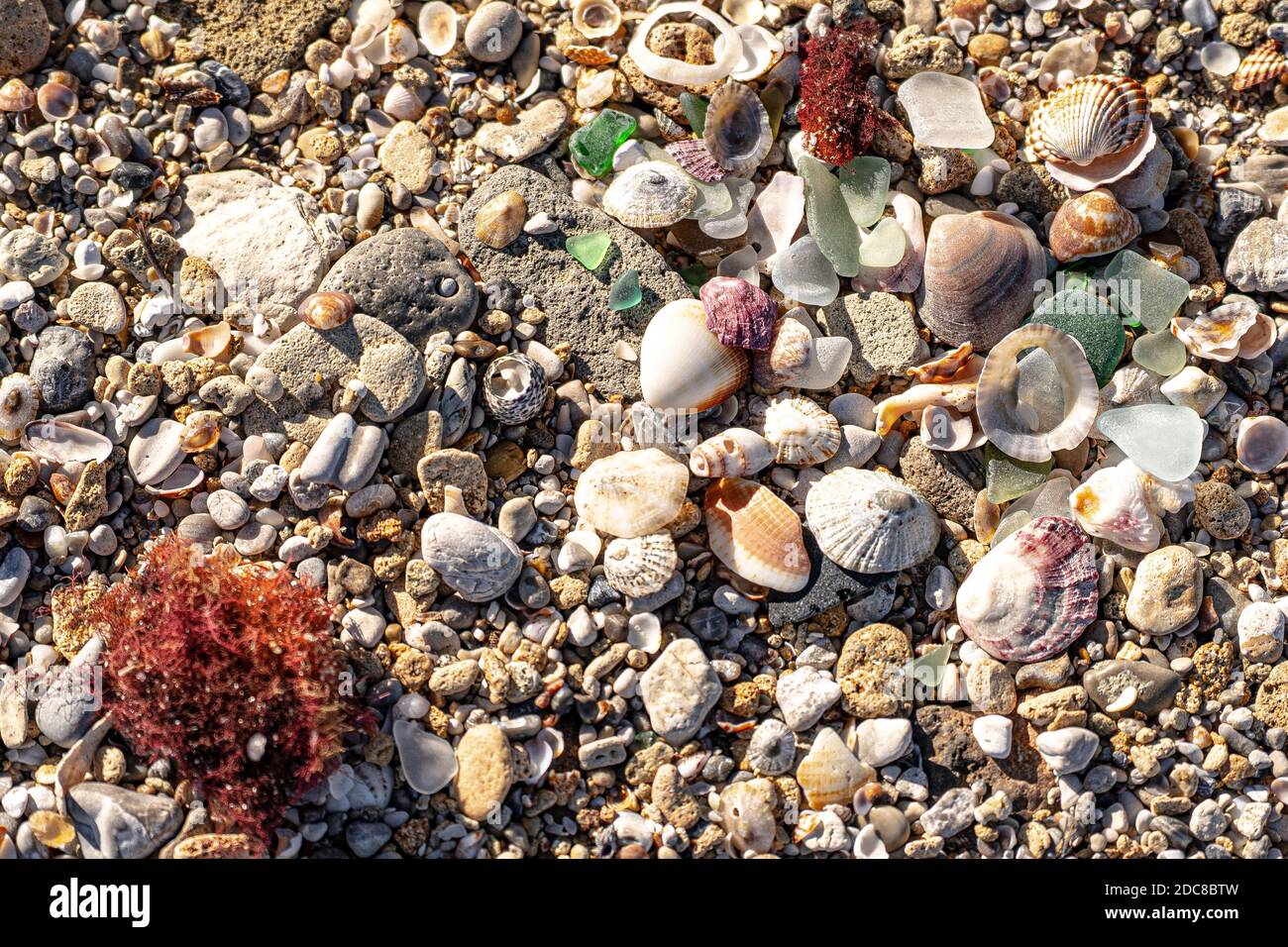 Sea glass and seashells from the unspoilt beach of Son Serra de Marina ...