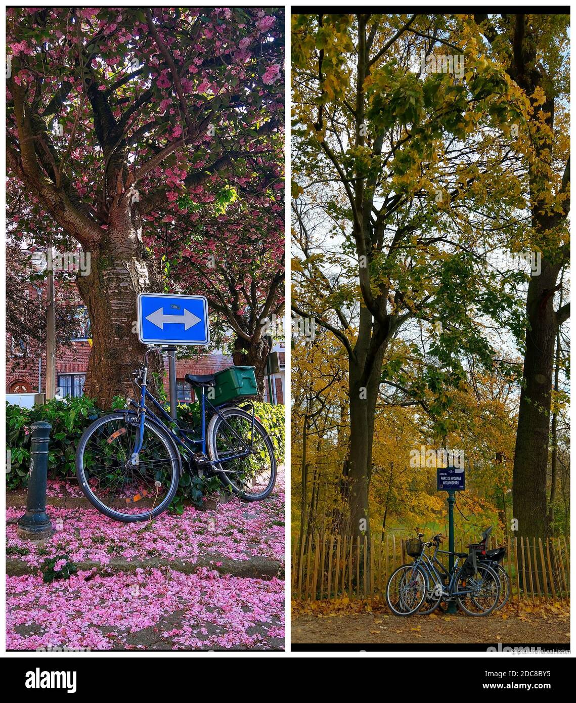 Nature fall landscape autumn path Cut Out Stock Images & Pictures - Alamy