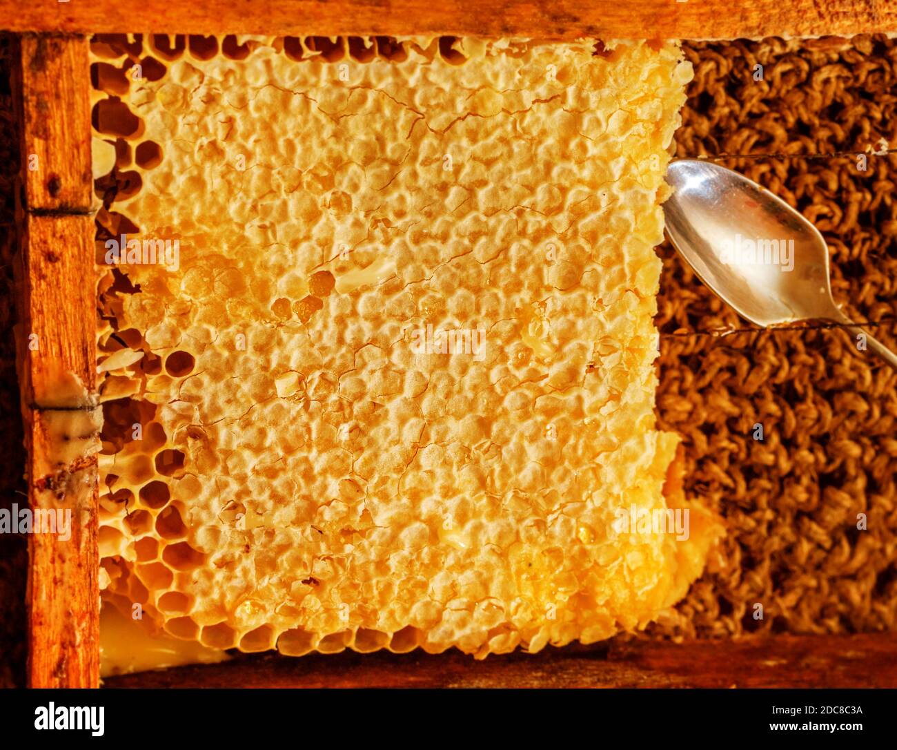 Honey cell frame hi-res stock photography and images - Alamy