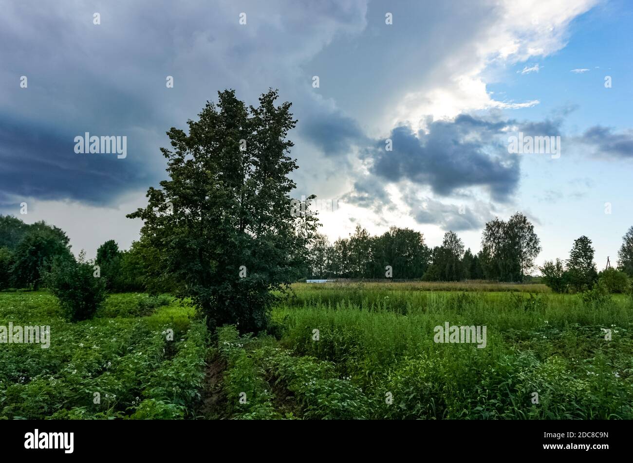 Votkinsk in russia hi-res stock photography and images - Alamy