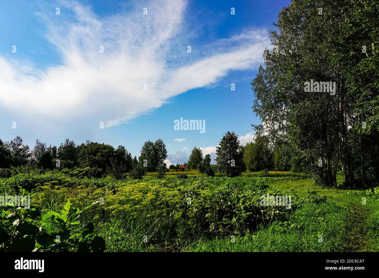 Votkinsk in russia hi-res stock photography and images - Alamy