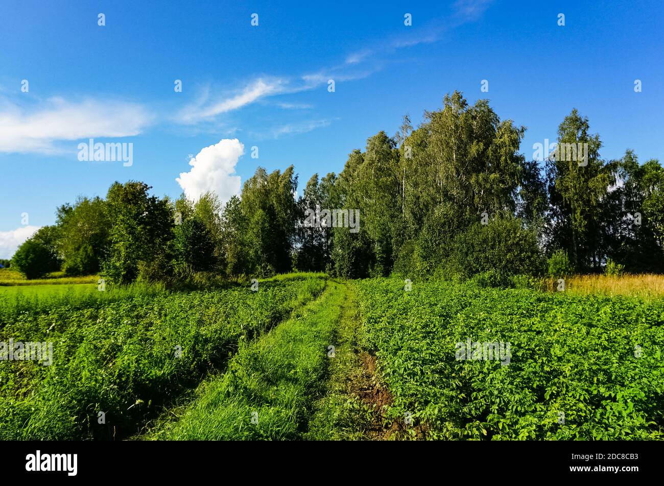 Votkinsk city panorama in Udmurt Republic, Russia Stock Photo - Alamy