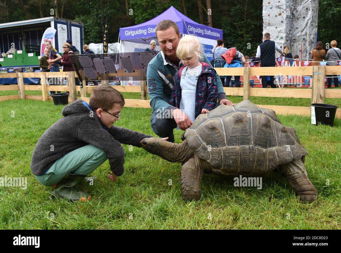 Children meeting giant tortoise at Staffordshire County Show Stock ...