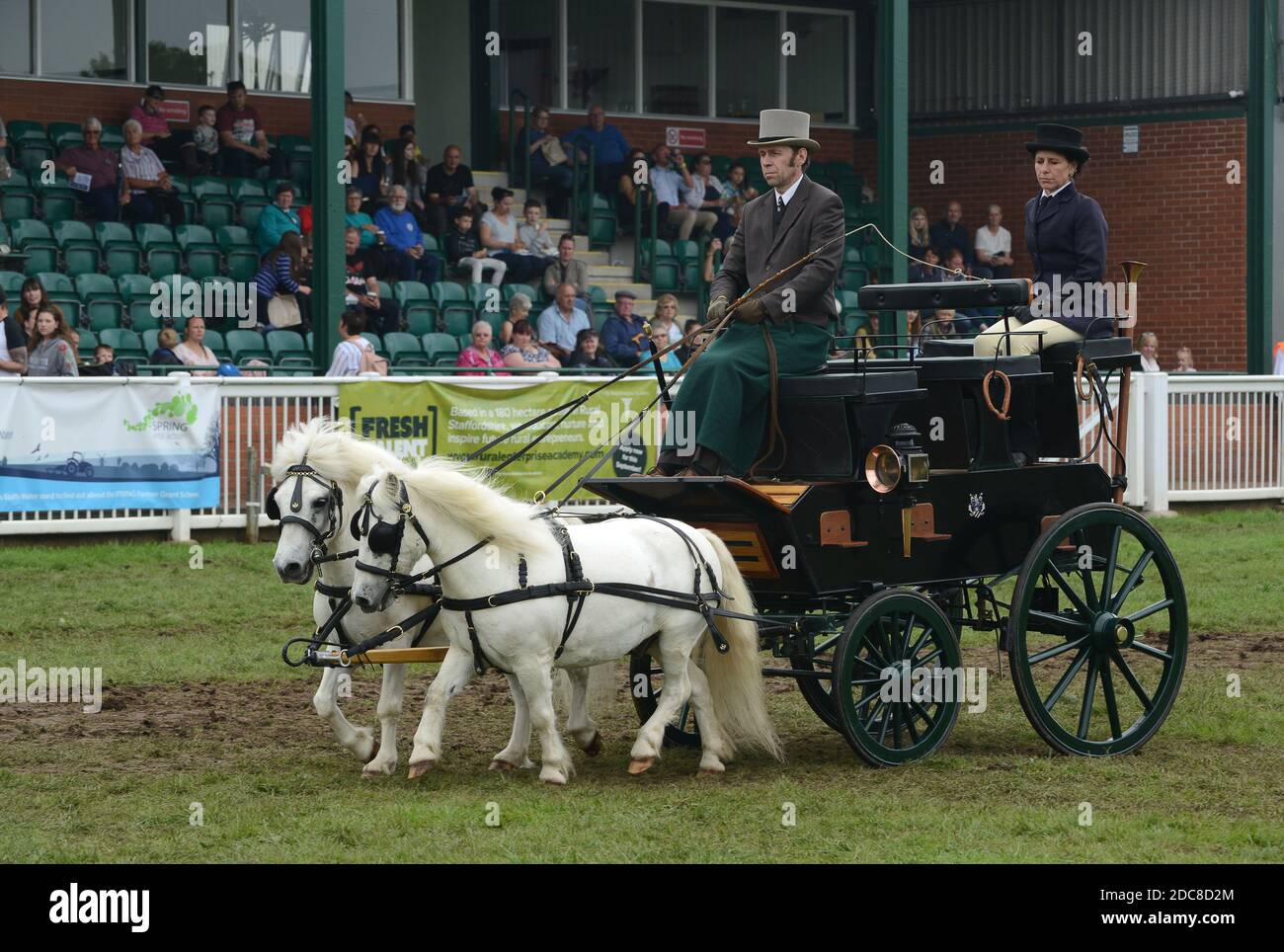 Horse and carriage driving classes at Staffordshire County Show Stock ...