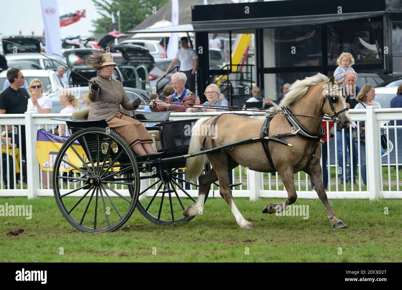 Horse and carriage driving classes at Staffordshire County Show Stock ...