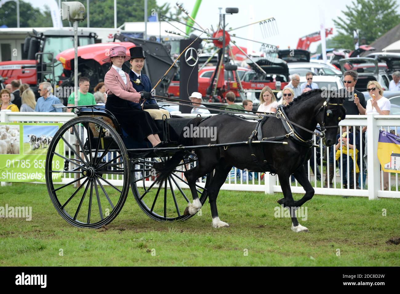 Ladies horse and carriage driving classes at Staffordshire County Show ...