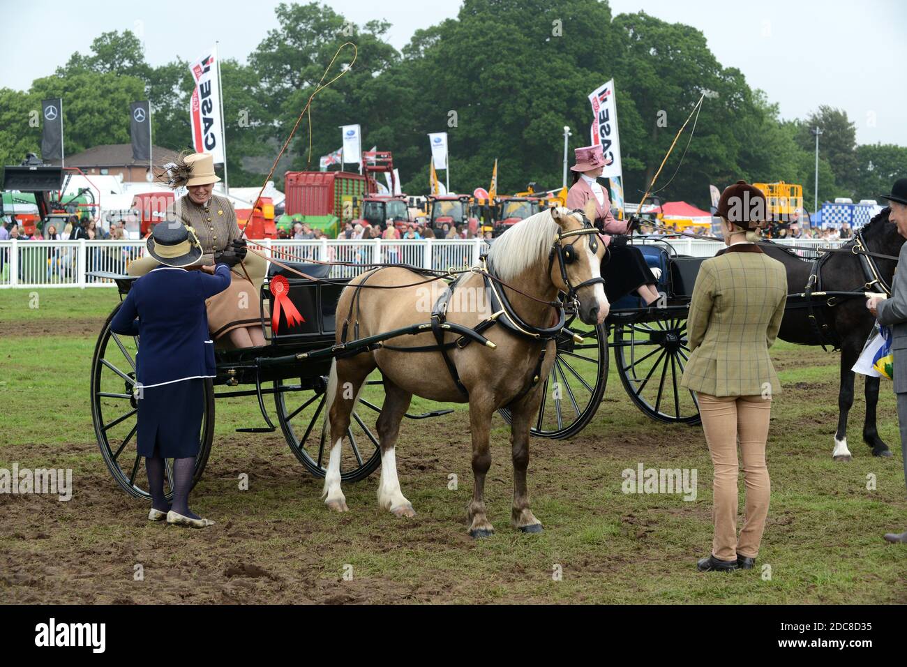 Judging the horse and carriage driving classes at Staffordshire County ...