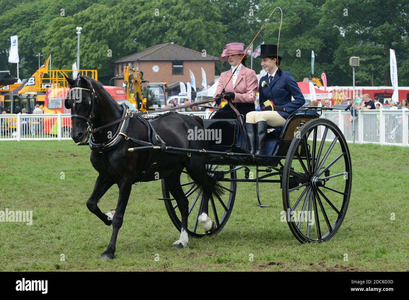 Ladies horse and carriage driving classes at Staffordshire County Show ...
