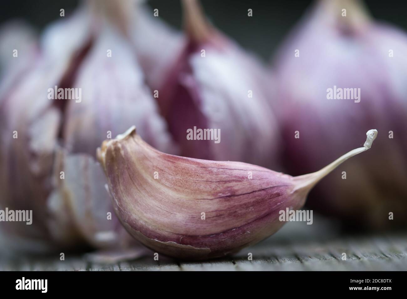Smelly Plant High Resolution Stock Photography and Images - Alamy