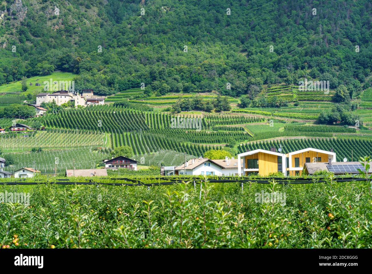 Summer landscape along the cycleway of the Venosta valley and the Adige ...