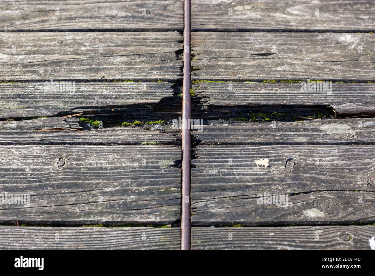 Detailed close up view on different wood surfaces showing planks logs ...