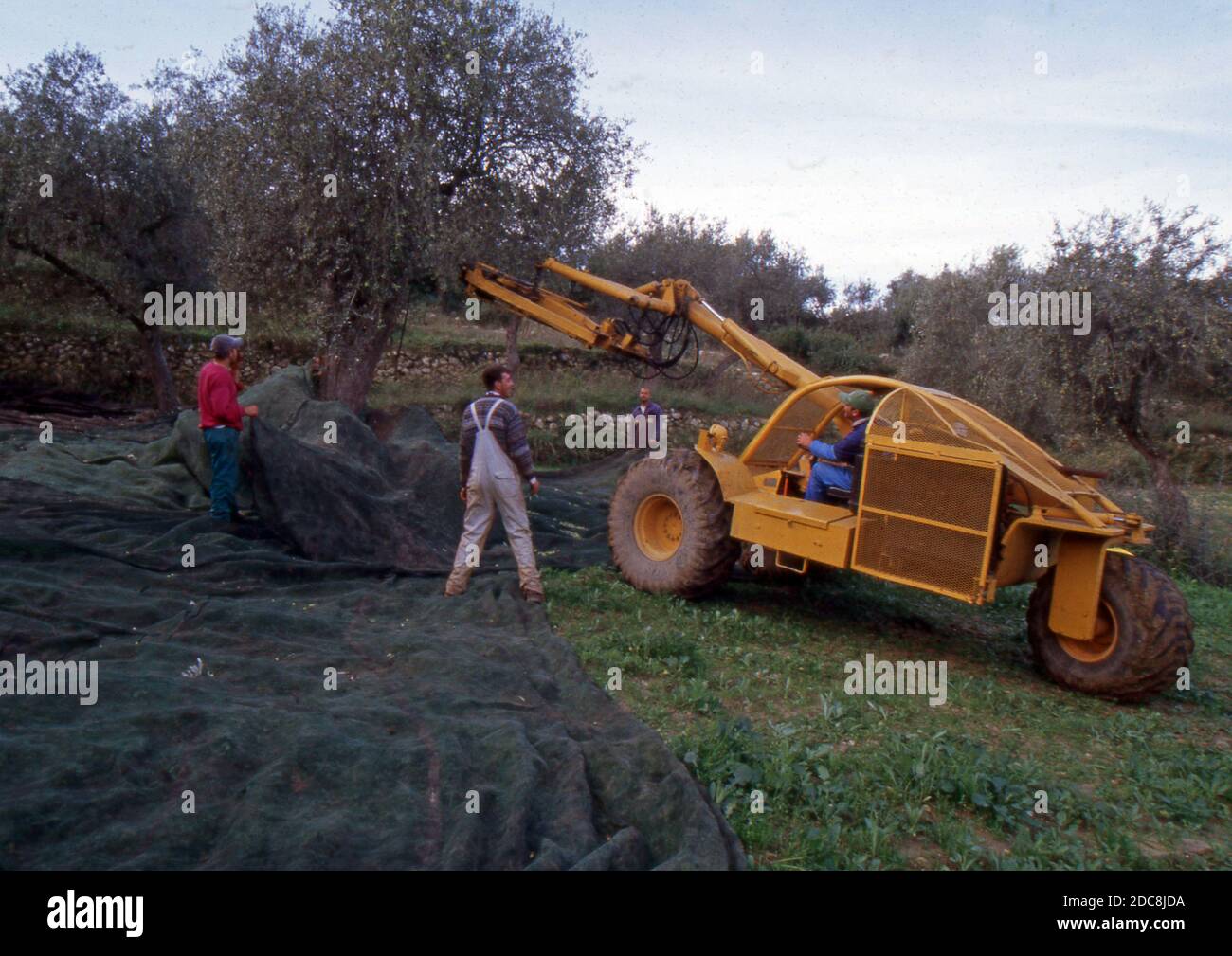 Tree shaking machine hi-res stock photography and images - Alamy