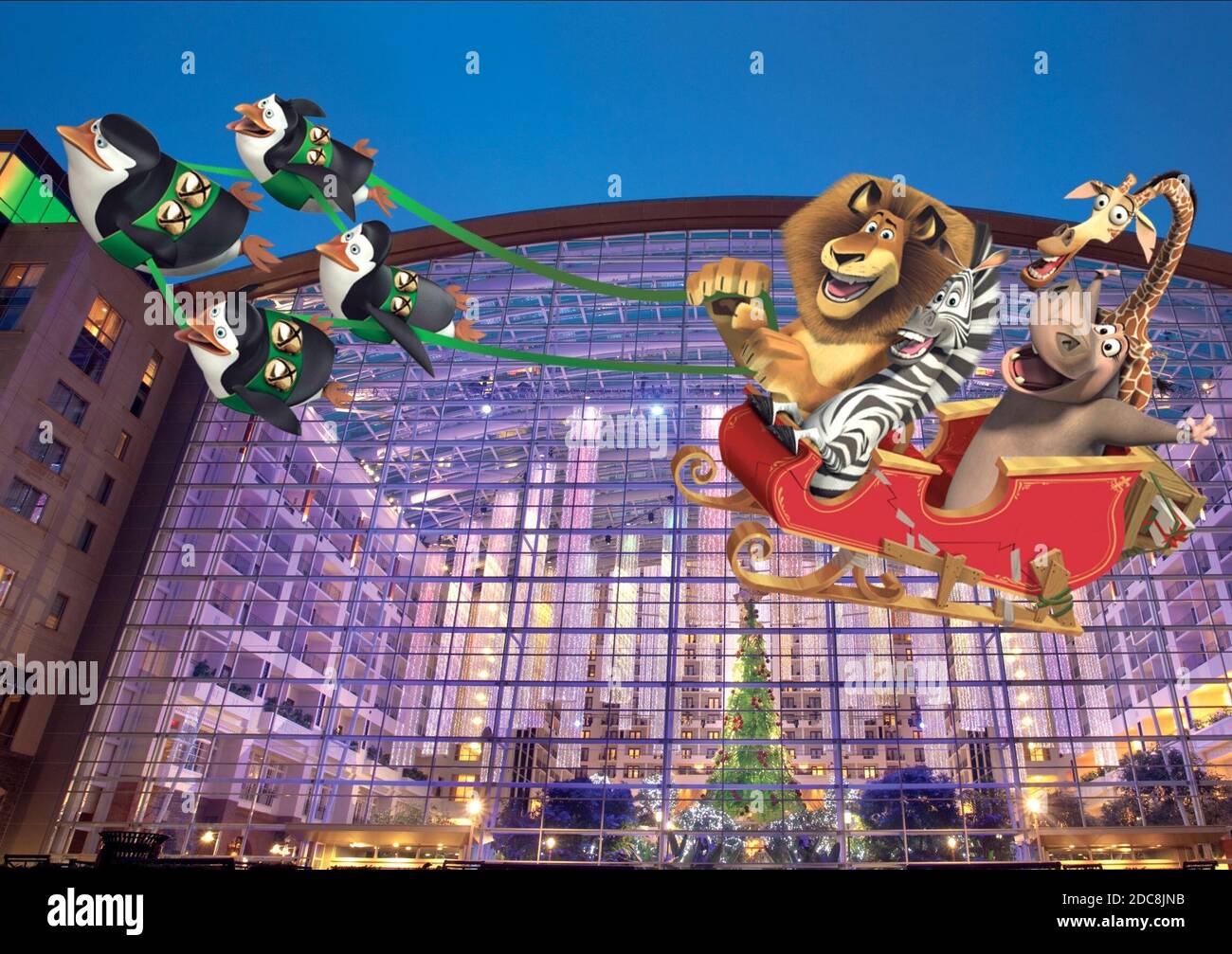 Gloria The Hippo High Resolution Stock Photography and Images - Alamy