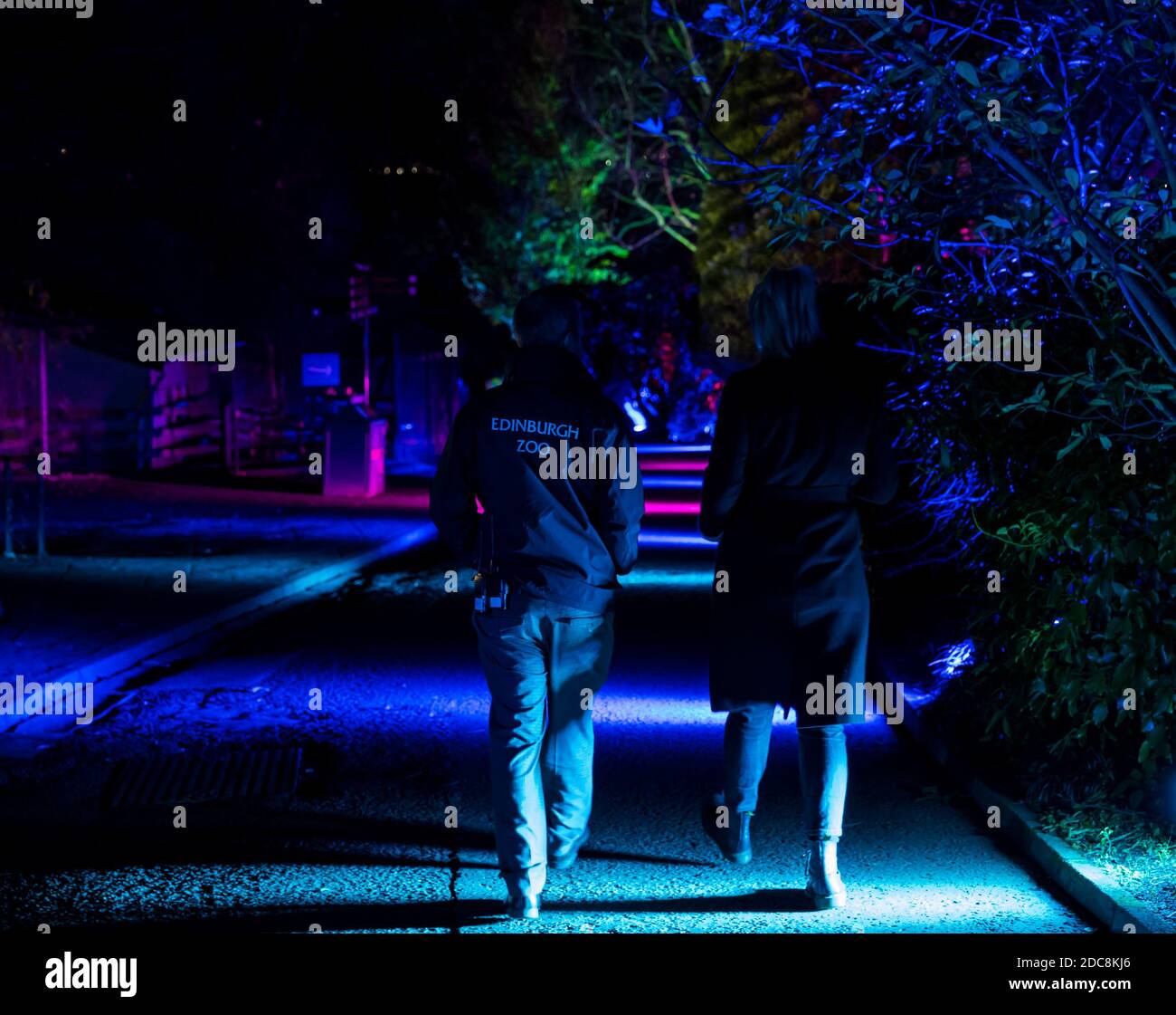 Edinburgh Zoo, Scotland, United Kingdom, 19th November 2020. Edinburgh ...