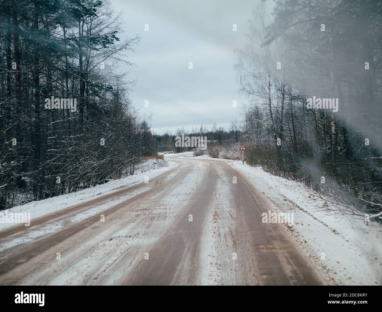 snowy road surrounded by pine trees, driving in winter snow on a ...