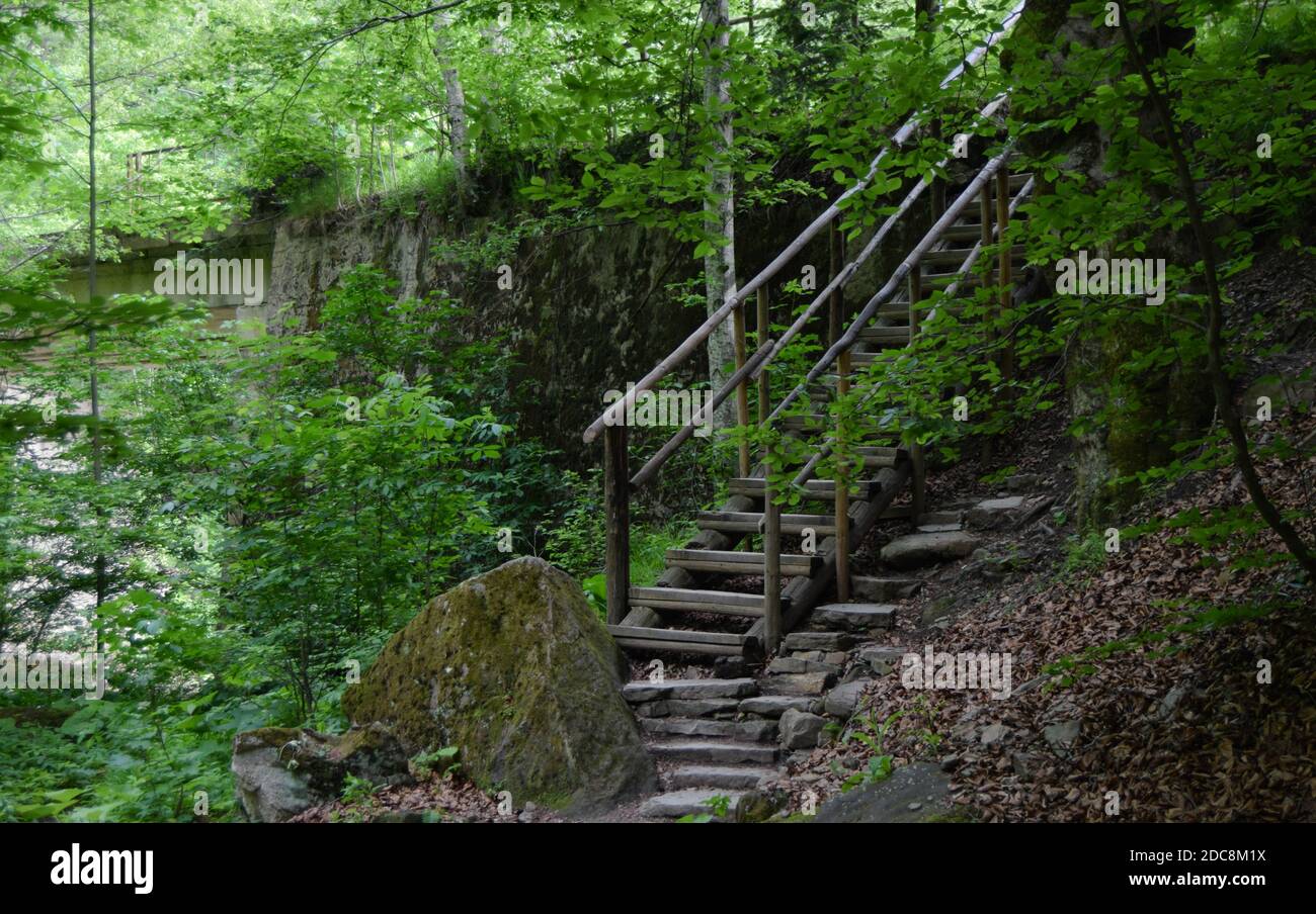 Wooden rock ladder hi-res stock photography and images - Alamy