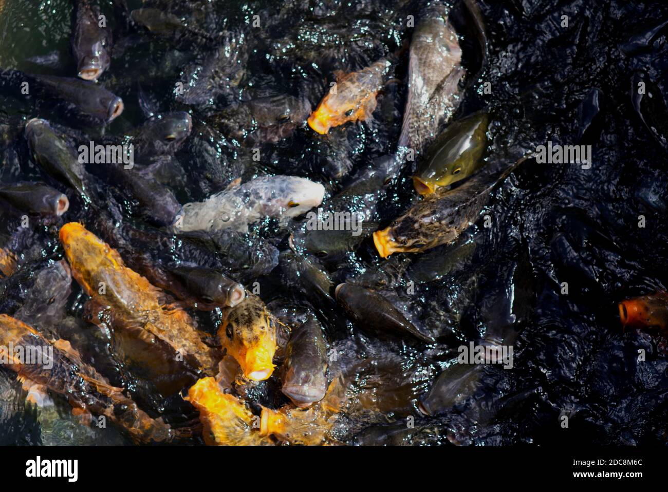 Surface group hi-res stock photography and images - Alamy