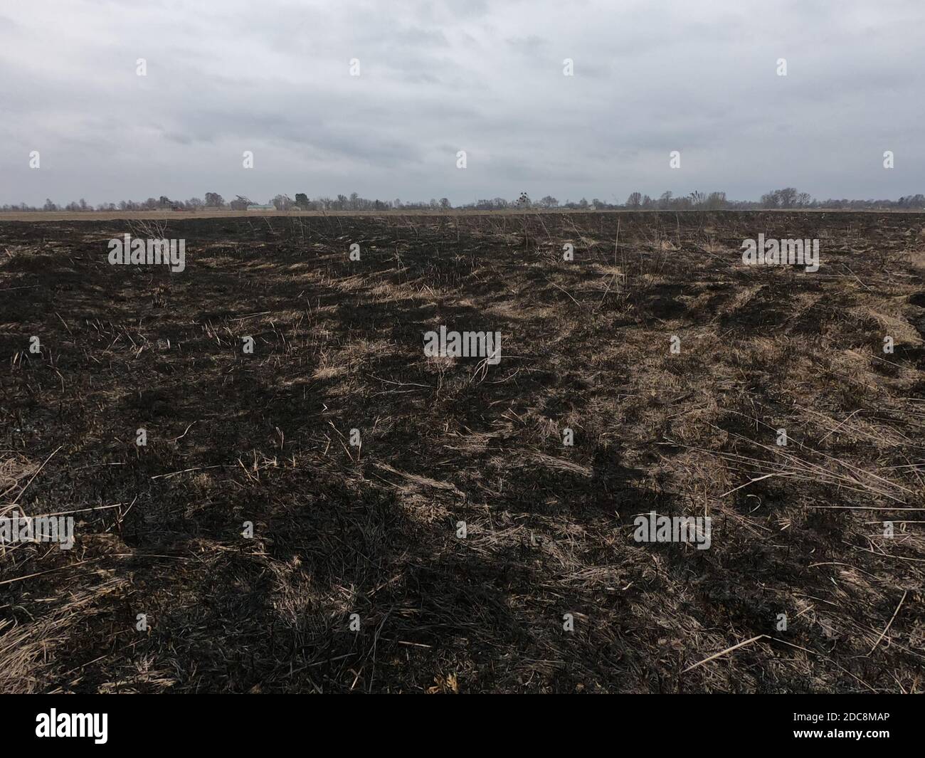 Burnt field. Place of environmental disaster. Moody landscape Stock ...