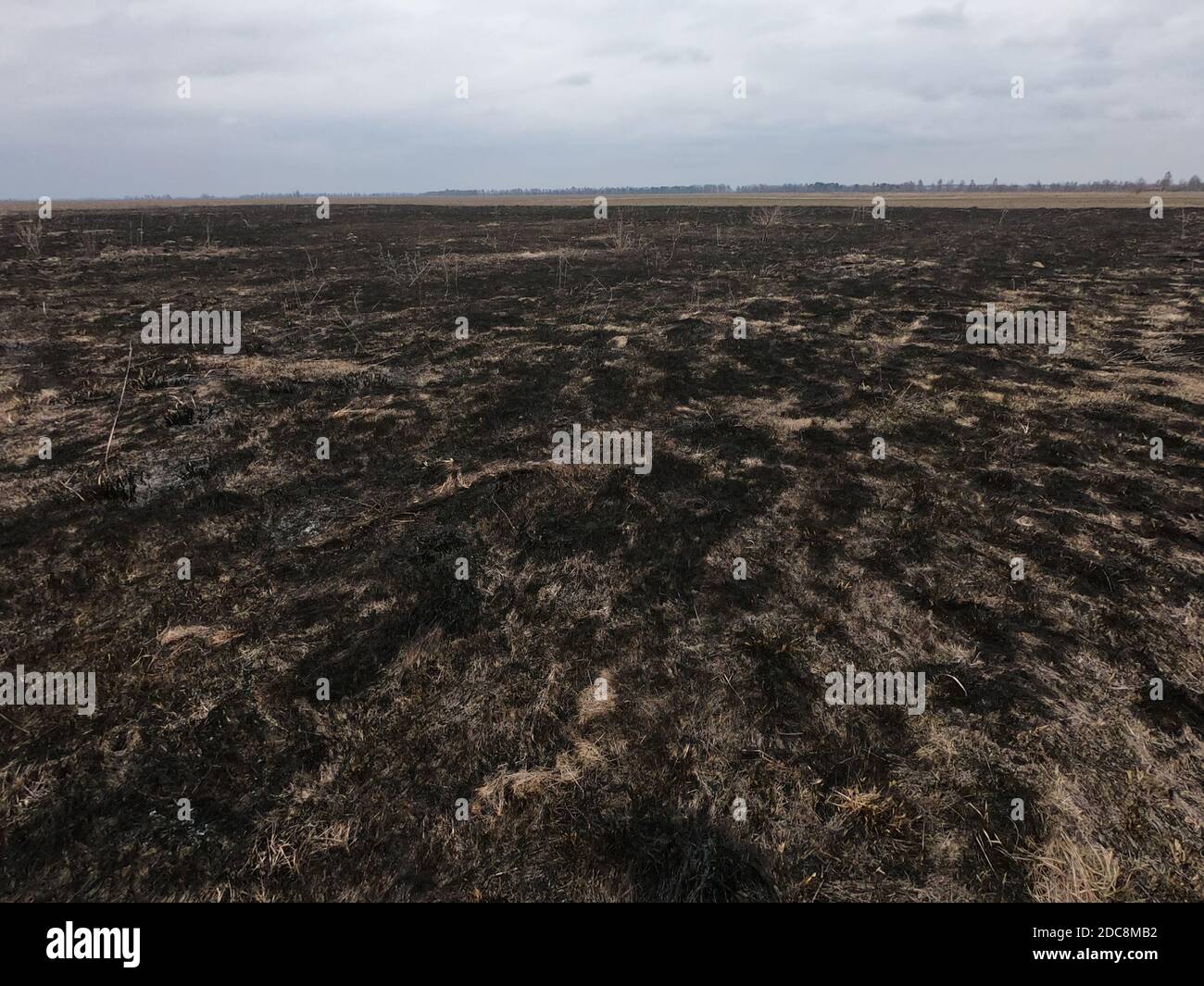 Burnt field. Place of environmental disaster. Moody landscape Stock ...