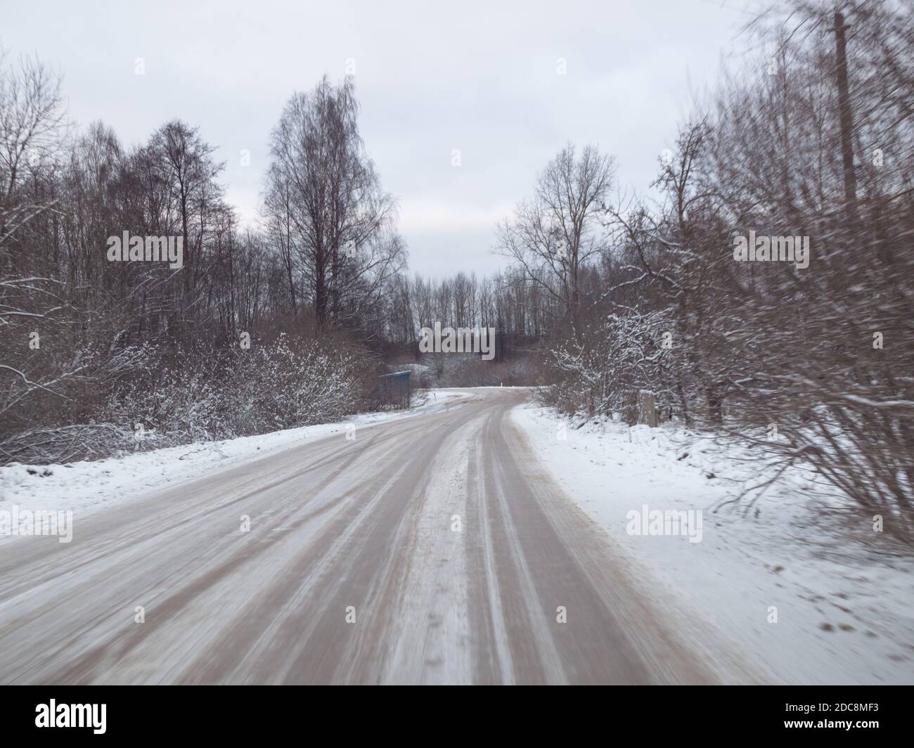 snowy road surrounded by pine trees, driving in winter snow on a ...