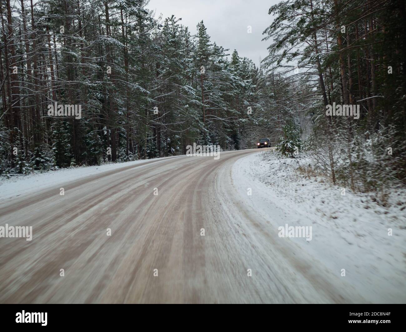 snowy road surrounded by pine trees, driving in winter snow on a ...