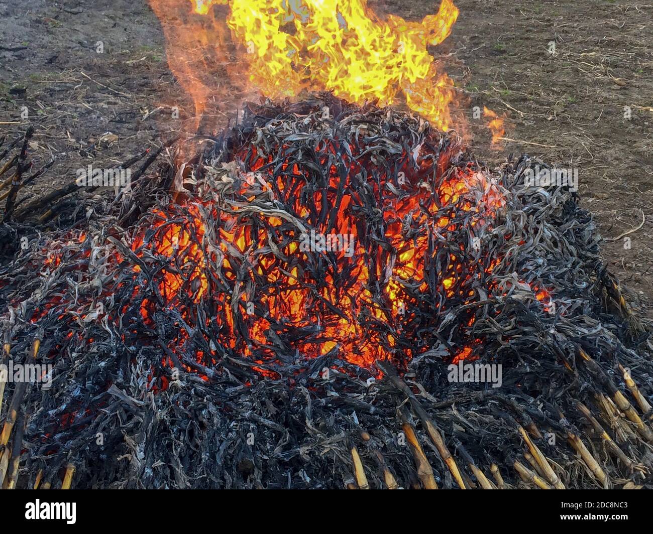 huge fire, huge bonfire, large pile of heat, tongues of fire rushing to ...