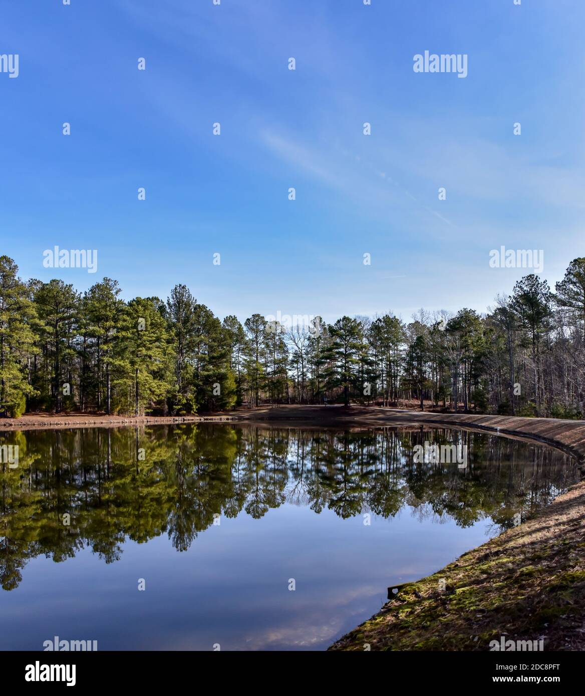 Pine trees reflecting in the water Stock Photo - Alamy