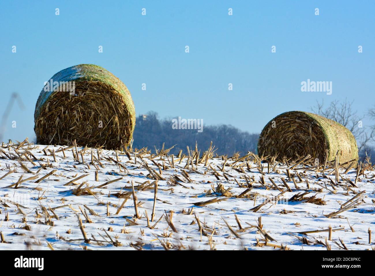 Rolled round bale bales hi-res stock photography and images - Alamy